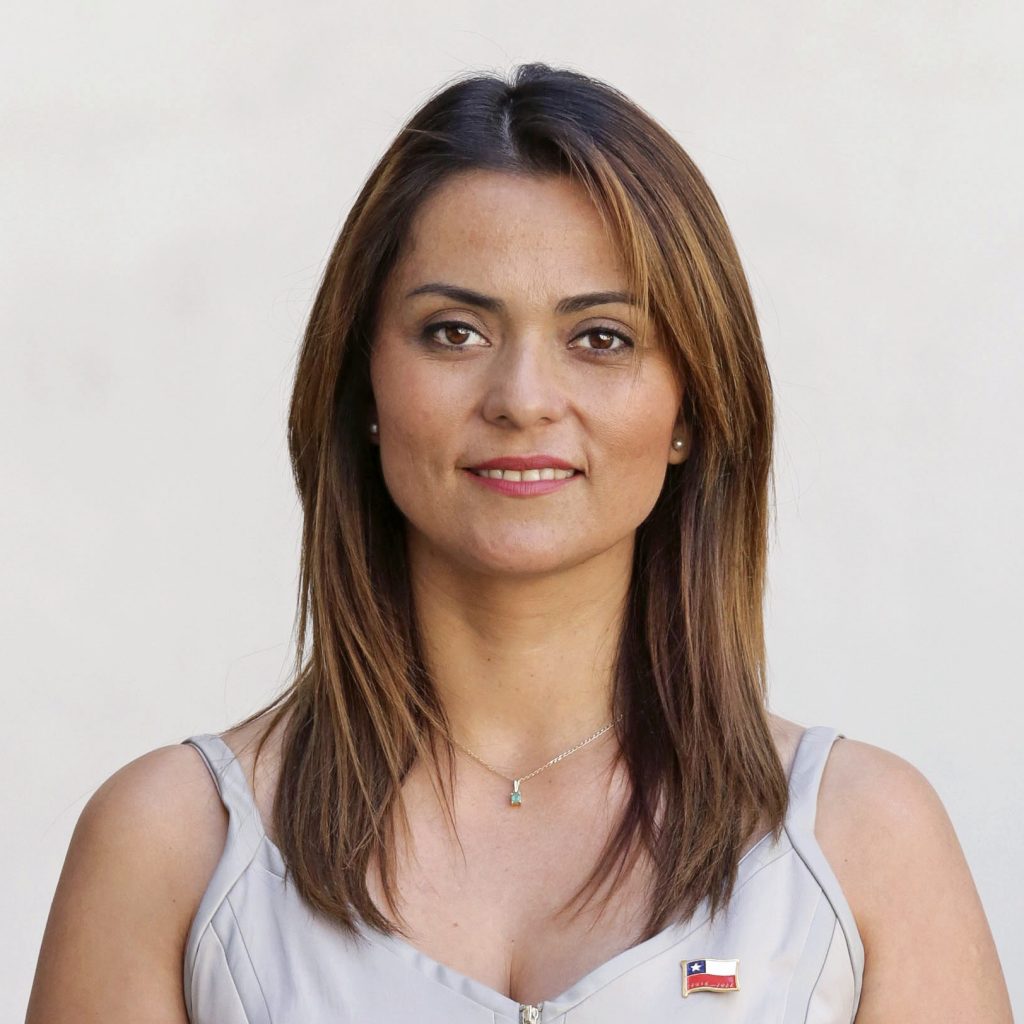 Gobernaciones - Ministerio del Interior y Seguridad Pública